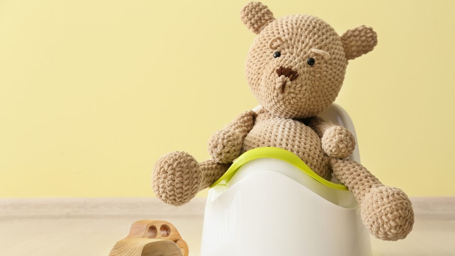 Potty Training: Guiding Your Toddler to the Toilet | Atrius Health